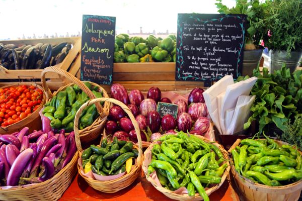 Public Markets in Toronto – City of Toronto